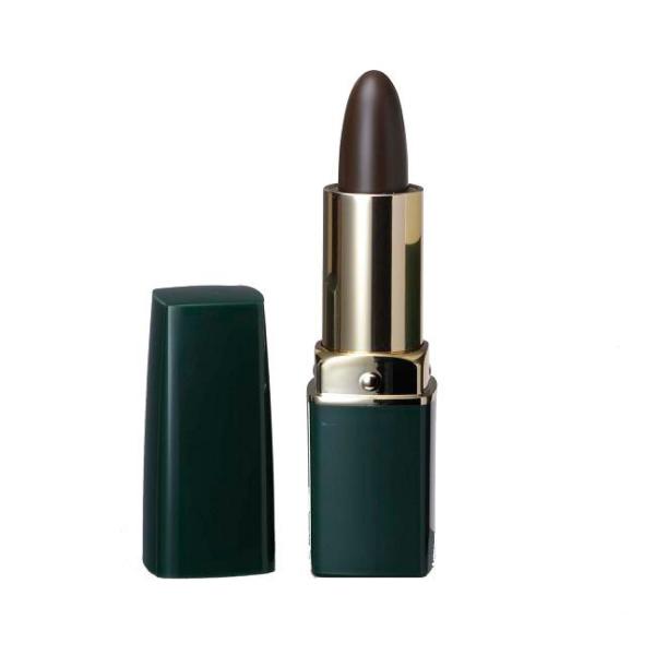 白髪　ヘアカラー　スティックタイプ　着色