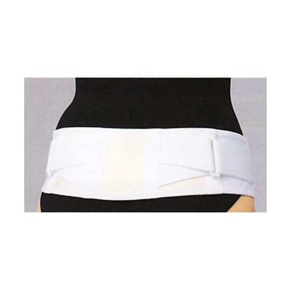 発売元、製造元、輸入元又は販売元：日本シグマックス　　※本商品は返品不可品となります。