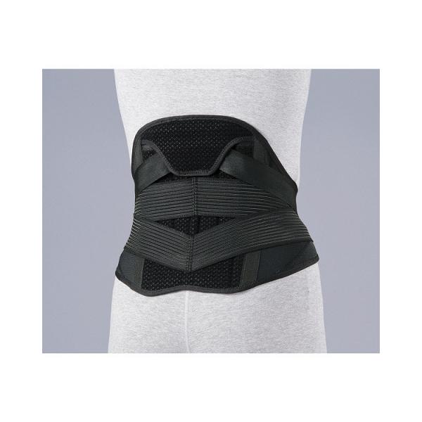 発売元、製造元、輸入元又は販売元：日本シグマックス　※本商品は返品不可品となります。