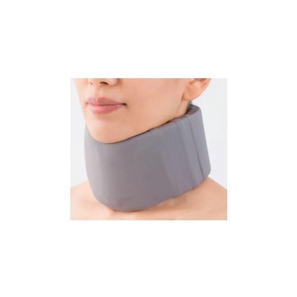 発売元、製造元、輸入元又は販売元：日本シグマックス　※本商品は返品不可品となります。