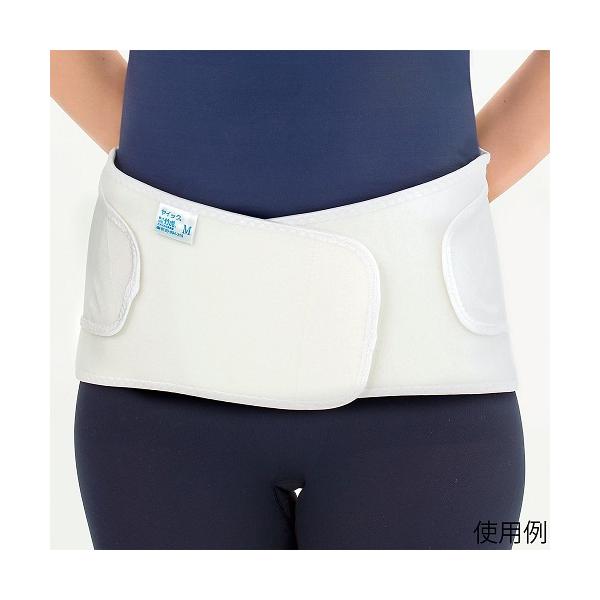 発売元、製造元、輸入元又は販売元：竹虎