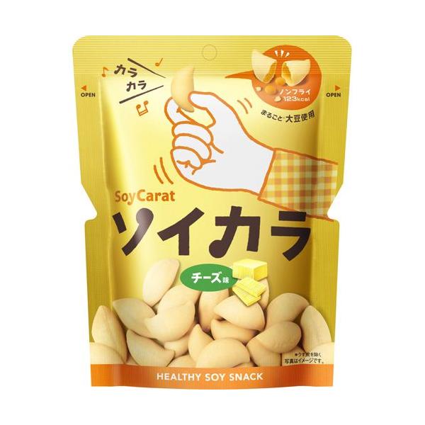 発売元、製造元、輸入元又は販売元：大塚製薬　※本商品は返品不可品となります。