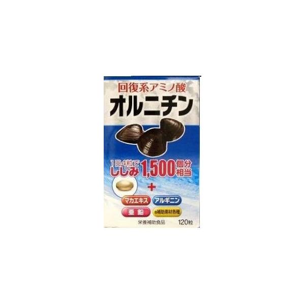 発売元、製造元、輸入元又は販売元：伸和製薬　※本商品は返品不可品となります。