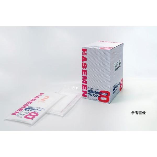 発売元、製造元、輸入元又は販売元：長谷川綿行