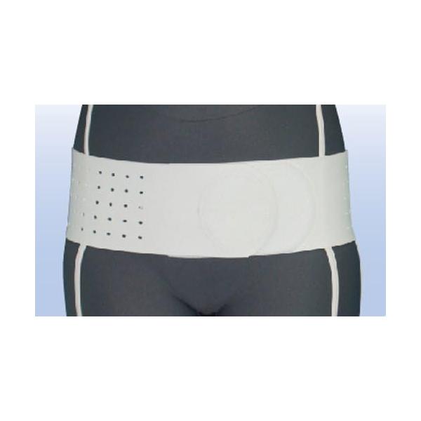 発売元、製造元、輸入元又は販売元：アシスト