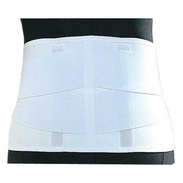 発売元、製造元、輸入元又は販売元：アシスト　　※本商品は返品不可品となります。