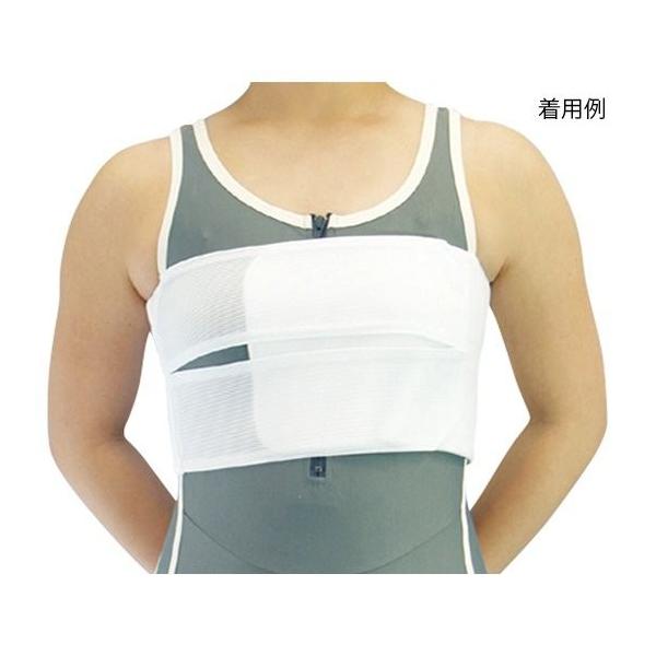 発売元、製造元、輸入元又は販売元：アシスト　　※本商品は返品不可品となります。