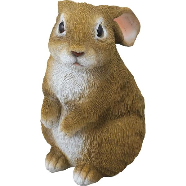 【発売日：2024年02月01日】お庭や玄関からかわいいウサギがひょっこりお出迎えします。置くだけでかわいいオーナメント。お部屋のインテリアにも最適です。【さまざまなギフトシーンでお使いいただけます】　お祝い返し・内祝い・出産内祝い・結婚内...