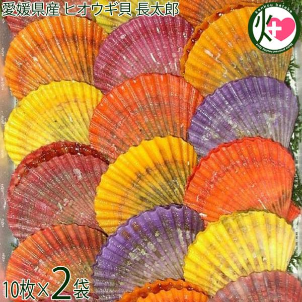 【名称】長太郎貝【内容量】10枚×2P　拡幅約8.0cm／枚【賞味期限】製造日より730日【原材料】ヒオウギ貝　四国近海産【保存方法】要冷凍(-18℃以下)【お召上がり方】冷凍のままさっと水洗いし加熱してお召し上がりください。海賊焼き、酒蒸...