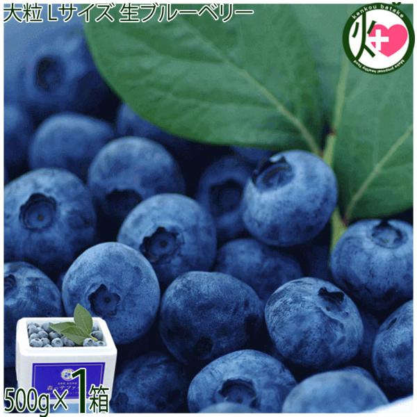 【名称】ブルーベリー【内容量】500g×1P（Lサイズ果実1粒直径：約17mm?21mm）【賞味期限】到着後冷蔵で3?4日程度※生ものですのでお早目にお召し上がりください。【保存方法】冷蔵 ※すぐに食べきれない場合は、冷凍保存をおすすめします。