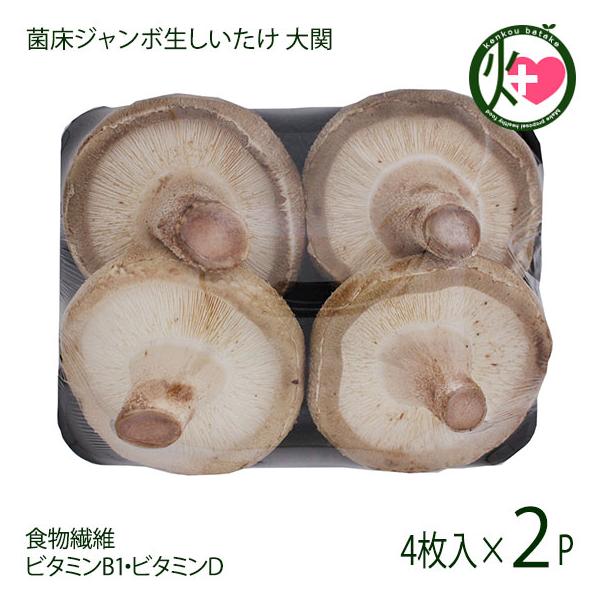 【名称】菌床ジャンボ生しいたけ【内容量】大関 直径9cm〜11cm 4個入×2P【賞味期限】到着日より・要冷蔵 2週間・冷凍 約1ヶ月【原材料】宮崎産しいたけ【保存方法】軸を上にしてパックごと要冷蔵。冷凍する場合は、石づき（椎茸の軸の先にあ...