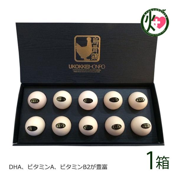 【内容量】10個※卵の為、重量個体差アリ【賞味期限】14日※生みたてを出荷いたします。【原材料】烏骨鶏卵【保存方法】要冷蔵（10℃以下で保存して下さい。）【JANコード】4573311378121【販売者】株式会社オリーブガーデン（沖縄県国...