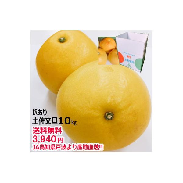 ※土佐文旦につきまして土佐文旦は送料無料(北海道・沖縄・東北6県除く)です。産地直送の為、同梱不可です！文旦のみでご注文下さい！高知県を代表する特産柑橘「土佐文旦」JA高知県戸波より産地直送！！高知県を代表する特産柑橘「土佐文旦」戸波(へわ...