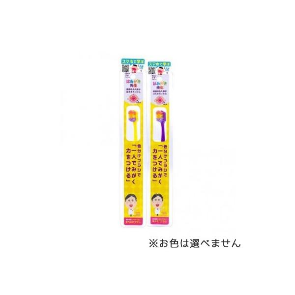 ●奥歯の永久歯がはえそろったらオススメ！●正しいみがき方をマスターしやすいよう、ブラシ部分を色分けしています。●正しい角度で歯ブラシがあたり、ぐらつきにくい八角形ハンドルです。●一人で正しい歯みがきができる●奥歯の側面は「わき」、奥歯のミゾ...