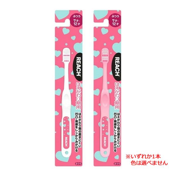 ●はえかわり期の磨きにくい凹凸・奥歯をしっかりみがける。●子供の歯ぐきにやさしい歯ブラシ。●上段高密度ブラシがむし歯になりやすい奥歯を効果的に洗浄。●段差のあるブラシが歯のスミズミに付着したプラークを簡単除去。●奥歯まで届く毛の長さと四角い...