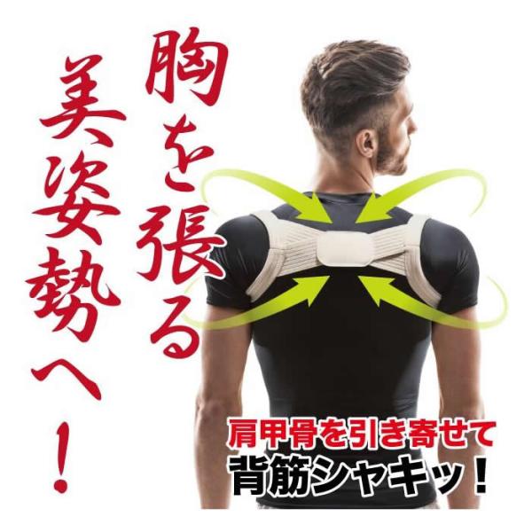 ●肩甲骨を引き寄せて男らしい姿勢をサポート！●装着すると、胸を張ったきれいな姿勢を自然と意識することができます。●腕を通すだけのシンプルな設計なのでインナー感覚で手軽に着用。●外出時や仕事中にも背筋をシャキッとのばして見た目の印象もアップ！...