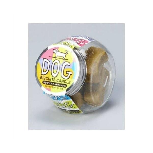 広告文責：アットライフ株式会社TEL 050-3196-1510 ※商品パッケージは変更の場合あり。メーカー欠品または完売の際、キャンセルをお願いすることがあります。ご了承ください。