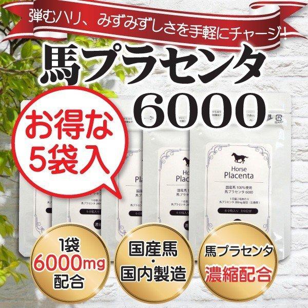 馬プラセンタ6000 1袋60粒入り5袋セット　約5ヶ月分1日量2粒に馬プラセンタ200mg配合国内サラブレットのみ使用！【商品名】馬プラセンタ 6000【名　称】ホースプラセンタエキス含有食品【原材料名】ホースプラセンタエキス、セルロース...