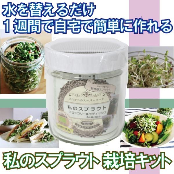 もやしタイプ栽培キット欧米発！ジャーで育てる新食感スプラウト有機種子（各１袋：ブロッコリー９．２ｇ、ラディッシュ８．２ｇ） ガラスジャー 白キャップ ステンレス水切りアミ。