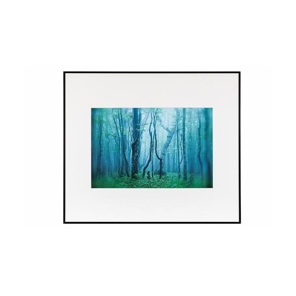 【即配】 Kenko ギャラリー A3ノートリミング ブラック/ホワイト AGY-A3NT-BW ケンコートキナー KENKO TOKINA【送料無料】