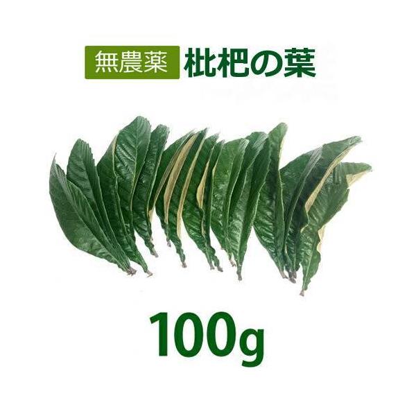 ※クール便ご希望の場合は別途1450円掛かります。■商品名：びわの生葉■内容量：100g■保存方法：枇杷の葉が届きましたら、まず、枇杷の葉についている水分をふきとってください。（ ※葉に水分がついたままの状態で保存すると、葉が茶色に変色しま...