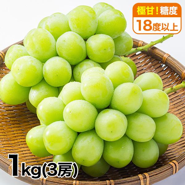 生産量全国5位を誇る福岡八女から直送！皮ごと食べられて、甘くて後味スッキリのシャインマスカット！糖度18度以上、酸度0.6％以下の粒ぞろいの良い「青秀」品をお届け！ご家庭用にも贈答用にもおすすめです。