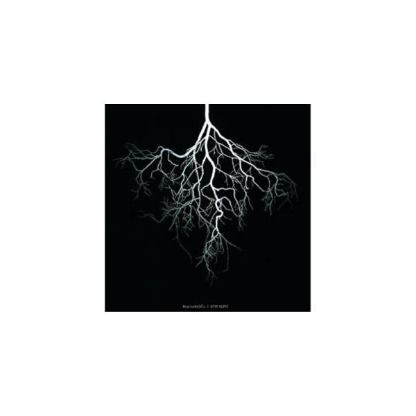 【発売日：2018年04月11日】brainchild's (ブレインチャイルズ ぶれいんちゃいるず)2018年4月11日 発売THE YELLOW MONKEYのギタリストEMMAこと菊地英昭がプロデュース、メンバーとして活動するプロジェ...