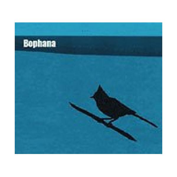 【発売日：2005年01月19日】Bophana (ボファーナ ぼふぁーな)2005年1月19日 発売ブラジリアン・ミュージックを追求するアコースティック・トリオ、Bophanaのファースト・アルバム。リトル・クリーチャーズ他を手掛けた青柳...