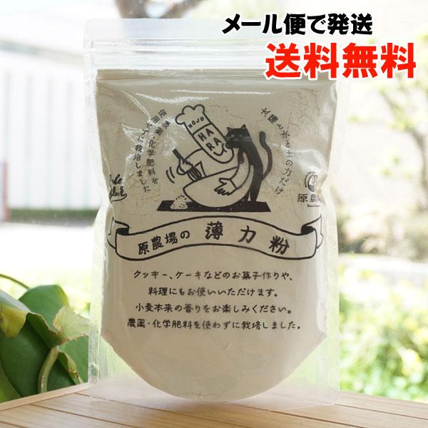 品種はシロガネコムギ ケーキ、クッキーなどのお菓子作りや料理にお使いいただけます。【原料名】小麦(熊本県産)【内容量】400g※商品画像内の記載の賞味期限は写真撮影時のもので出荷の商品は賞味期限内のものをお送りします。
