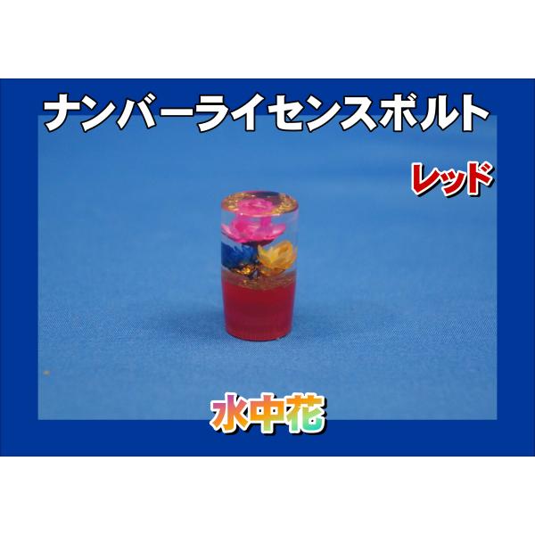 商品名 ナンバーライセンスボルト　水中花製造メーカー ジェットイノウエ商品サイズ サイズ：長さ約28mm、約16mmφ(底辺:約10mmφ)商品紹介 ナンバープレート取付け用ボルトに最適なM6サイズの水中花ボルト。ボルトの長さは15mmと2...