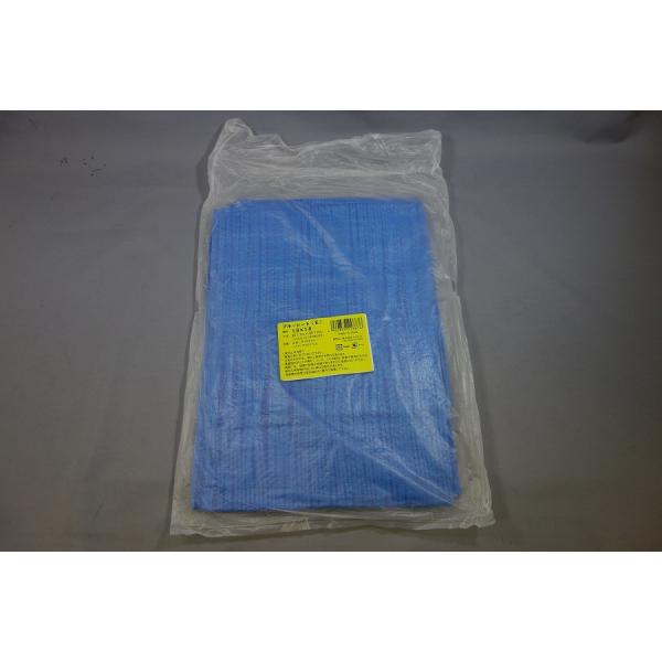 ○特長○両面ラミネートコーティングをした軽量タイプブルーシートです。○用途○土木建設業や農林水産業などの軽作業に。野積み用簡易カバーや簡易養生用に。○仕様○約1.7ｍX約1.7ｍ○材質○　ポリエチレン○質量○　0.2kg○分類○　シート／ブ...