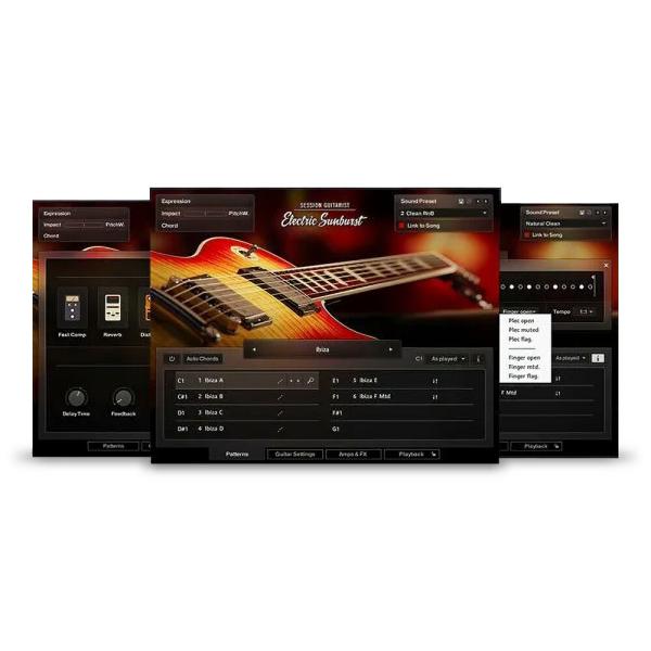 Native Instruments Session Guitarist - Electric Sunburst [メール納品]