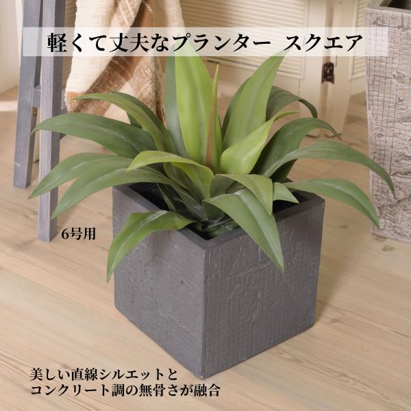 【商品の特徴】美しい直線のスクエア型：すっきりとした四角いフォルムが空間をスタイリッシュに演出。無骨なセメント調グレートーン：お気に入りの植物を入れるだけで洗練されたモダン空間に。軽量で頑丈な新素材：重厚な見た目に反して軽量。酸化マグネシウ...
