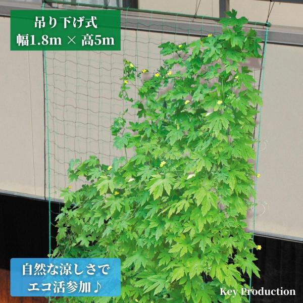 ５ｍの長さでベランダや手すりから吊り下げられるグリーンカーテン。光と熱を遮って省エネ生活！緑に癒されエコ活ライフはいかがですか？並べたり、間をあけたり、レイアウトはあなたしだい！キュウリやゴーヤなどの野菜や、朝顔などのつる性植物の栽培に適し...