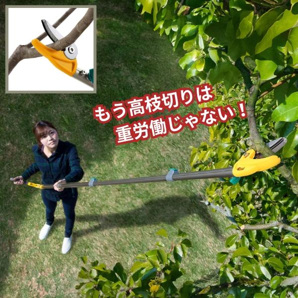 超軽量1.1ｋｇ！女性でもラクラク作業。腕で押し切る新構造ハンドルで驚くほどの軽い切れ味を実現。てこの原理により従来の高枝切鋏に比べ切る力を50％軽減し、楽に切断できます。女性や年配の方でも楽に剪定作業ができます。最大15mmまでの枝木（生...