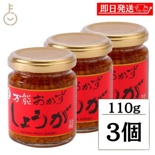 ※沖縄への配送不可。自動キャンセルとなります。高知県産生姜の香りが広がる、万能おかずしょうが。高知県産の生姜を細かく刻み、醤油漬けに仕上げた万能調味料です。ご飯、豆腐、肉料理、魚料理、サラダ、卵焼きなど幅広い料理に相性抜群。そのままでも、ご...