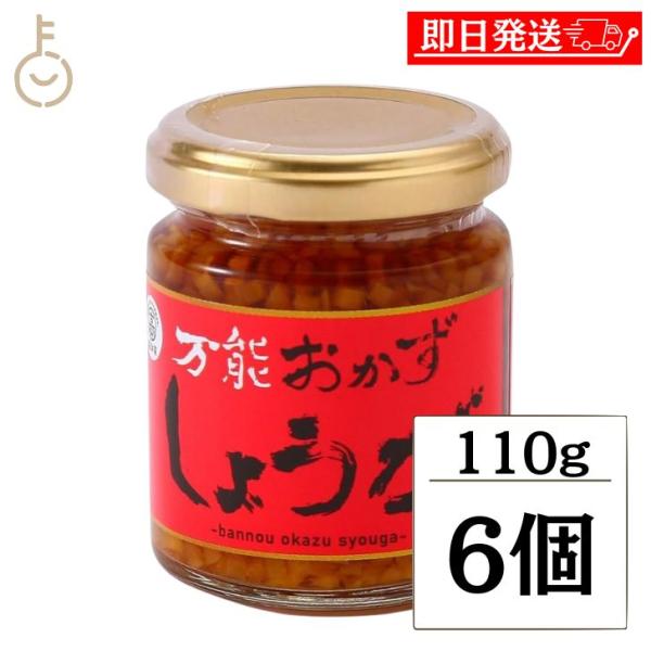 ※沖縄への配送不可。自動キャンセルとなります。高知県産生姜の香りが広がる、万能おかずしょうが。高知県産の生姜を細かく刻み、醤油漬けに仕上げた万能調味料です。ご飯、豆腐、肉料理、魚料理、サラダ、卵焼きなど幅広い料理に相性抜群。そのままでも、ご...