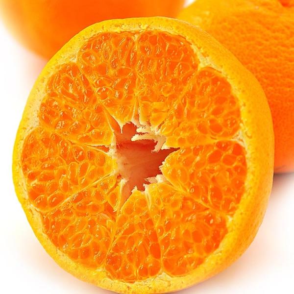 【発売日：2021年02月11日】　　