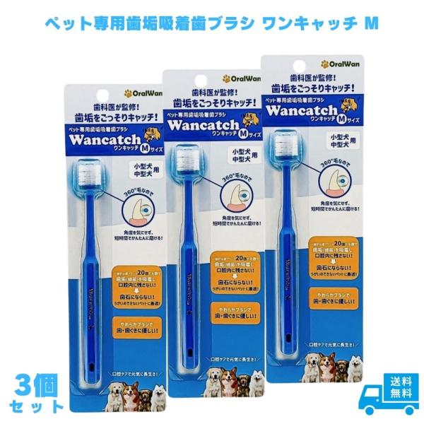 【Wancatchの優れた3つの特徴】●歯垢除去能力が高い！！歯垢を吸着し、口腔内に歯垢を残しません！●360°毛なので、歯に当てやすく、かんたんに磨ける！●やわらかブラシで歯・歯ぐきに優しい！！