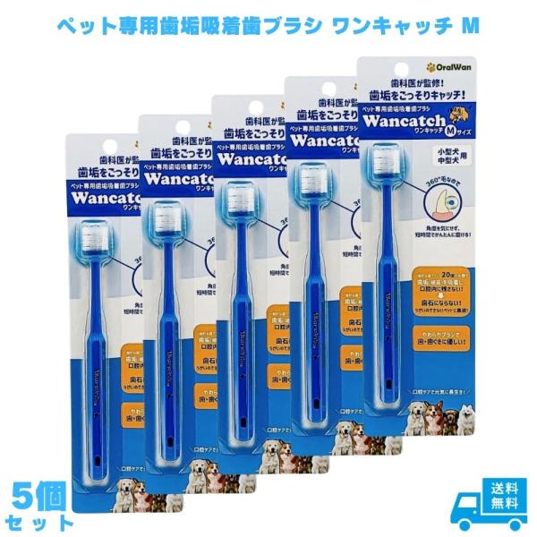 【Wancatchの優れた3つの特徴】●歯垢除去能力が高い！！歯垢を吸着し、口腔内に歯垢を残しません！●360°毛なので、歯に当てやすく、かんたんに磨ける！●やわらかブラシで歯・歯ぐきに優しい！！