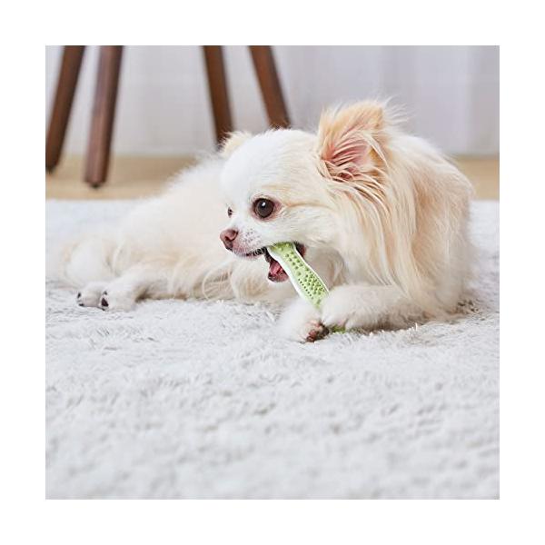 ソフトマルチカラー/SS/W27172・Size:SSStyle:ソフト・パッケージ個数:1・遊びながらお口の健康を維持。パピー・シニアも遊べるソフトタイプ。硬い外側と柔らかい内側の２つの噛みごこちで飽きずに楽しめる！