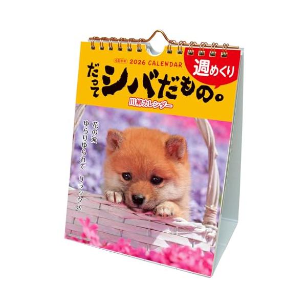 -/-/26ACL-566・パッケージ個数:1・柴犬の魅力満載の週めくりの川柳カレンダーです。壁掛けとしても使えます。・【綴じ枚数】54枚綴り(表紙含む)・【サイズ】 150×190mm・【日付期間】 2026年1月〜2026年12月・【原...