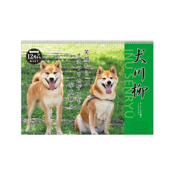 マルチカラー/-/1000136867・パッケージ個数:1・2006年の戌年よりスタートした川柳シリーズは皆様に愛されて20周年を迎えます。・サイズ：257×364ｍｍ・14枚つづり・リング仕様