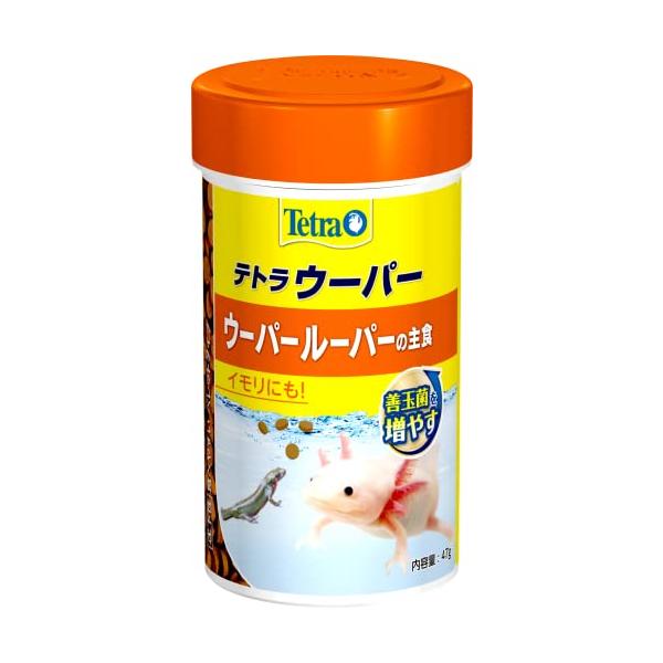 -/47グラム (x 1)/70042・パッケージ個数:1・ウーパールーパーやイモリなどの両生類専用フードです・生き物の腸内で善玉菌を増やす「プレバイオティクス」の効果があります・食いつき抜群のウーパールーパーの主食・対象生物:ウーパールー...