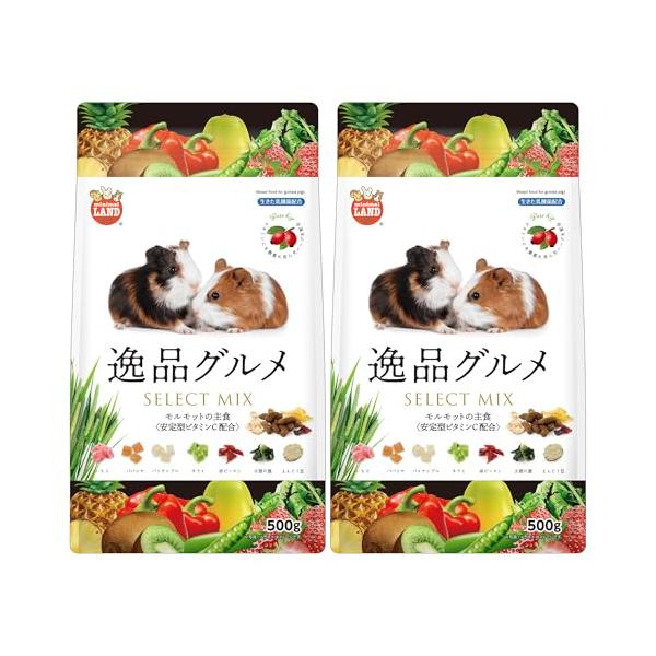 -/-/9007083122002・モルモット専用のミックスフード