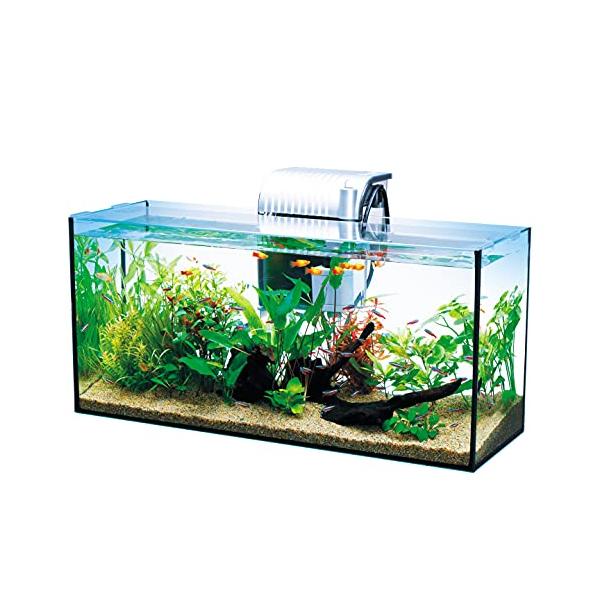おしゃれ-/600/73054・Size:600・パッケージ個数:1・オールガラスのスリム水槽・お手入れ簡単、静かな運転音のワンタッチフィルター付・初心者でもお洒落に簡単に観賞魚の飼育が始められる・水槽サイズ:60×21×30cm(容量 約...