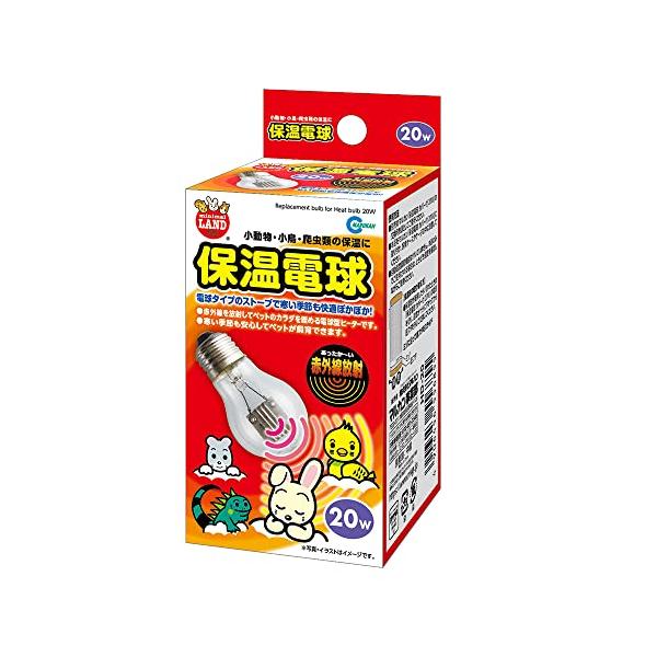 カバー無し・Style:カバー無し・パッケージ個数:1・本体サイズ (幅X奥行X高さ) :4.8×4.8×8.5cm・本体重量:20g・原産国:中華人民共和国