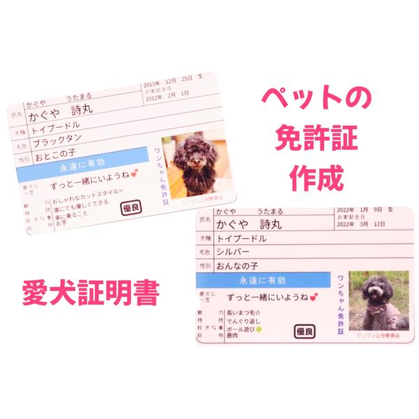 愛犬や愛猫のための「マイワンダーカード」は、オリジナルの身分証明書を作成できるユニークなアイテムです。ドッグランやフェス、お散歩の際に、愛犬の個性をアピールするのにぴったりです。写真や名前、メッセージを入れて、世界に一つだけの特別なカードを...