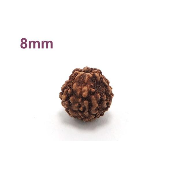 インド菩提樹ルドラクシャ 8ミリ ハンドメイド数珠・手作りアクセサリー用お会計後、長期休業中を除き、通常2営業日以内にネコポス(ポスト投函サービス)で発送、1〜2日程度でのお届けとなります。