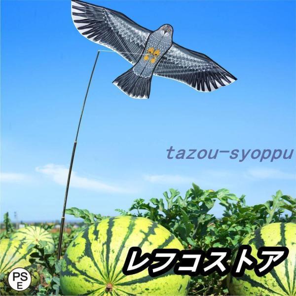 鳥よけ カイト 鷹 (ポール竿付) 軽量丈夫 防鳥具 鳥追い 畑 植物保護 農業用 カイト鷹 1.5m凧 4mポール